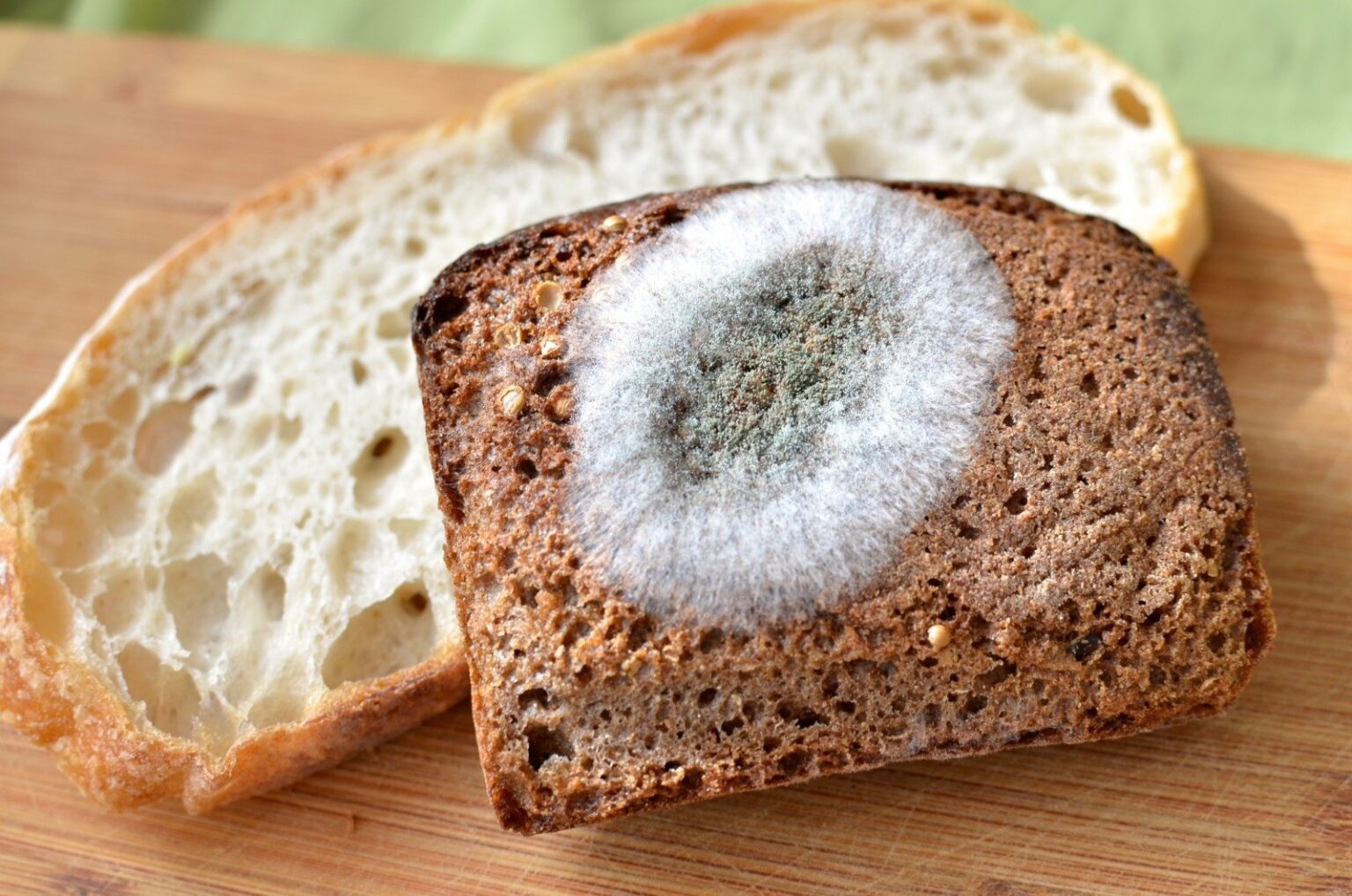 Si può mangiare il pane che presenta muffa, se tolgo la parte ammuffita ...